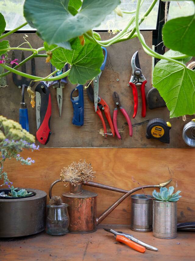 Garden Designer Visit: How Stefano Marinaz Uses His London Allotment as ...