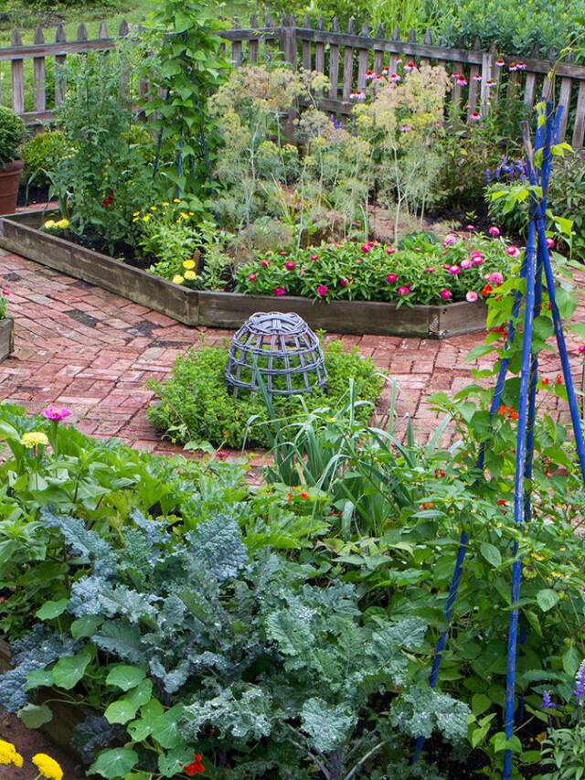 The Garden Decoder: What Is a ‘Potager’? Web Story - Gardenista