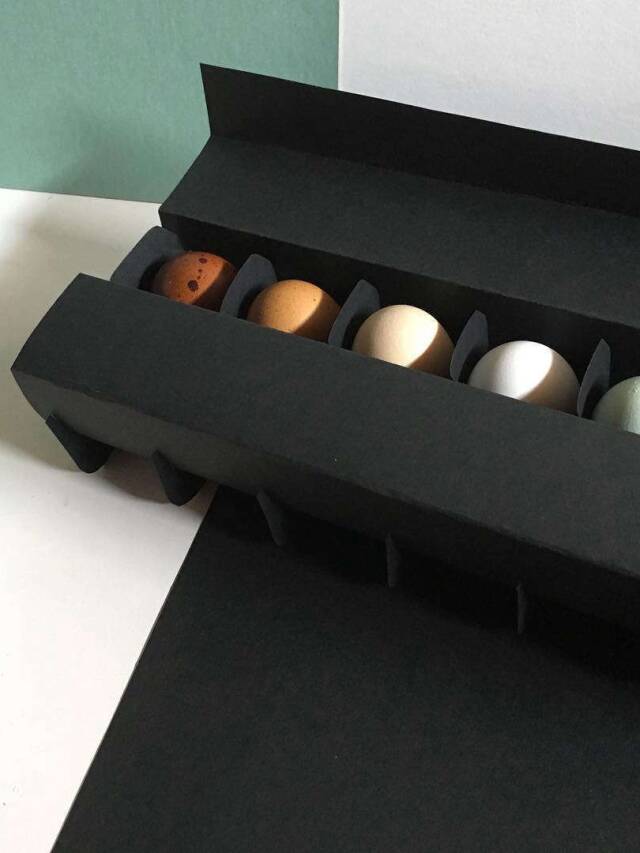 Colorful eggs in designer egg cartons from the Fancy F Web Story ...