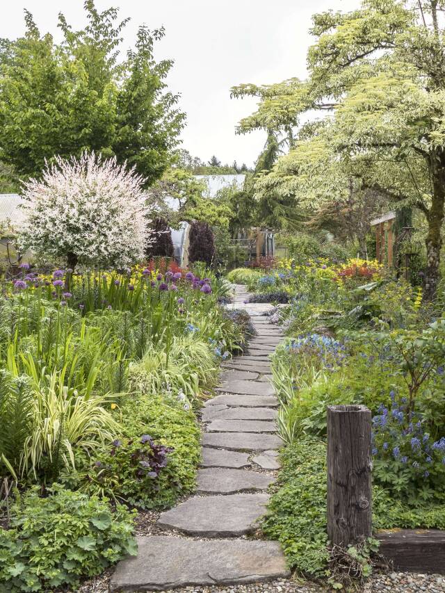 Crazy Quilt Garden: A Revolutionary Way to Create a Tapestry of Color ...