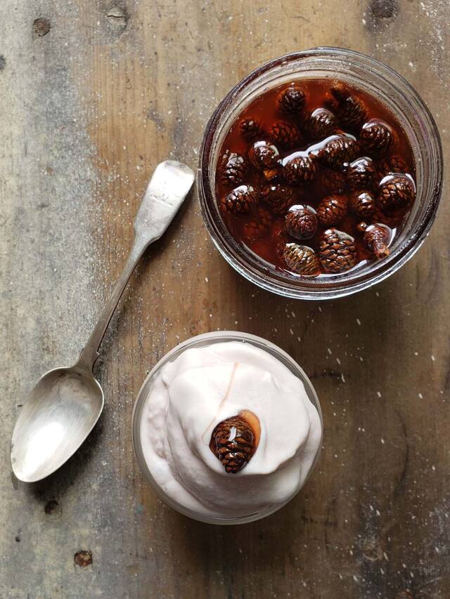 Pine Cone Jam: A Surprising Foraged Treat Web Story - Gardenista