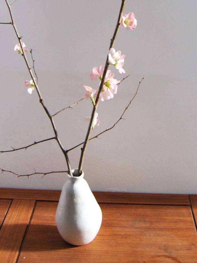Rethinking Quince: Styling a Classic Spring Blossom - Gardenista Web ...