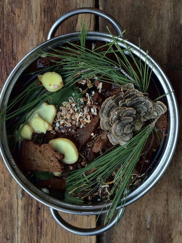The Wildcrafting Brewer: A Guide for Botanical Alchemists - Gardenista ...