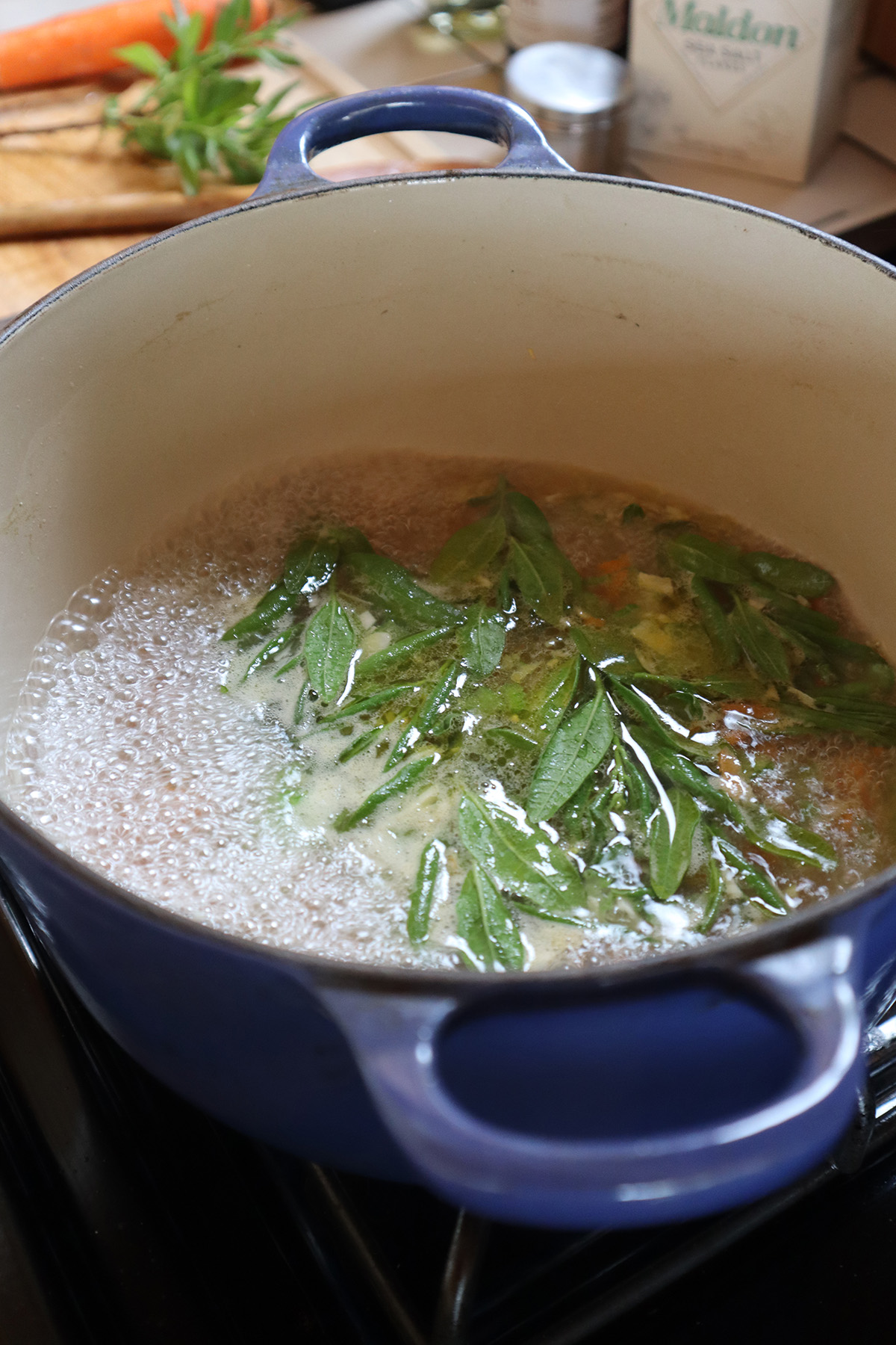 Bayberry: An Herb Native to North America