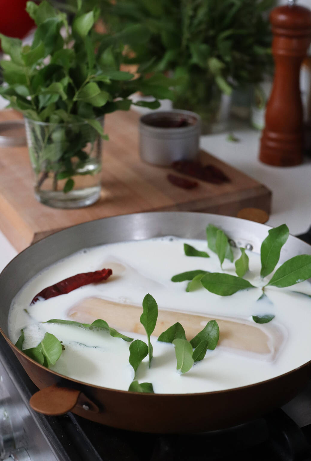 Bayberry: An Herb Native to North America