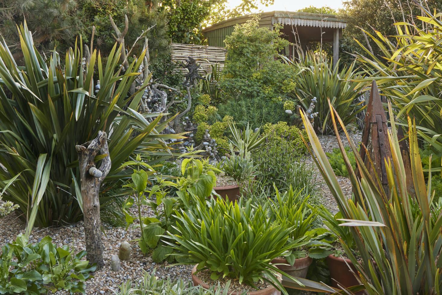 Gravel Gardens: Everything You Need to Know About Dry Gardens