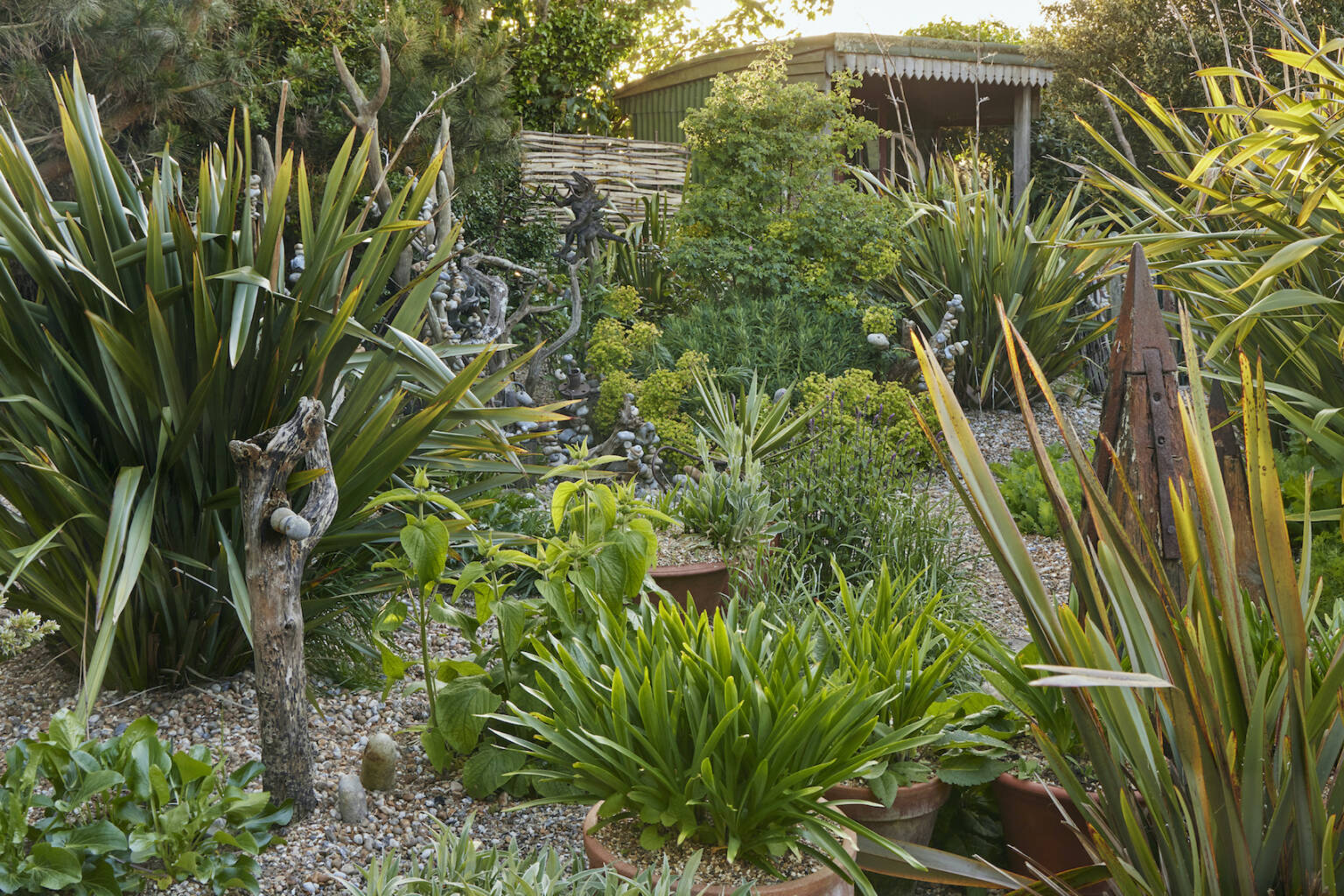 The Roundhouse: Shingle Gardening at Dungeness in England
