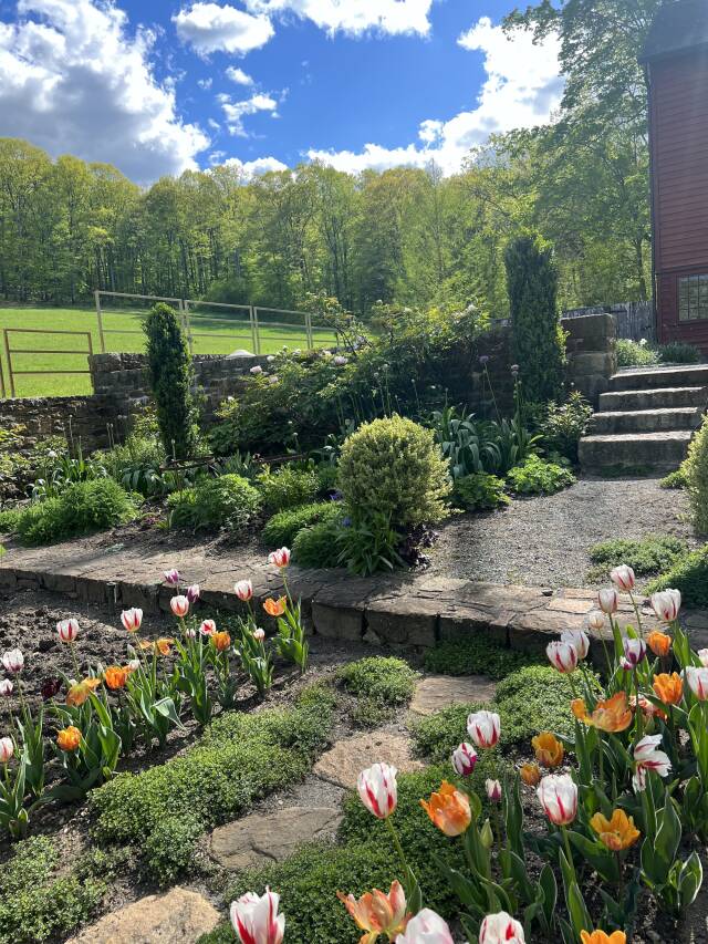 Janet Mavec's Bird Haven Farm in New Jersey: Garden Visit