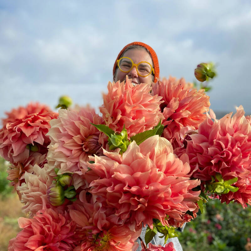 Deadheading Basics: Should You Deadhead or Not?