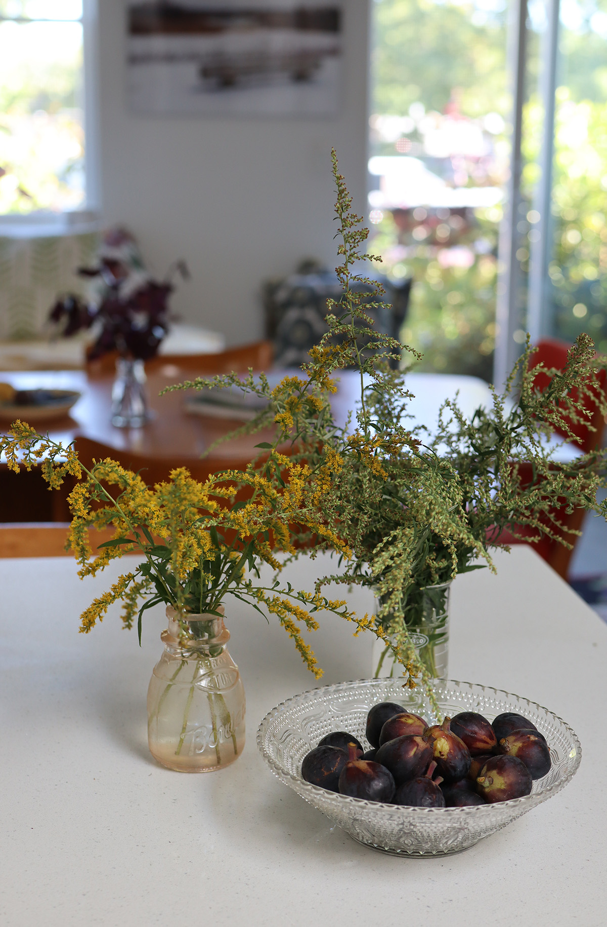 Mugwort is a plant eaten by invasivores - it is an edible herb but is ...