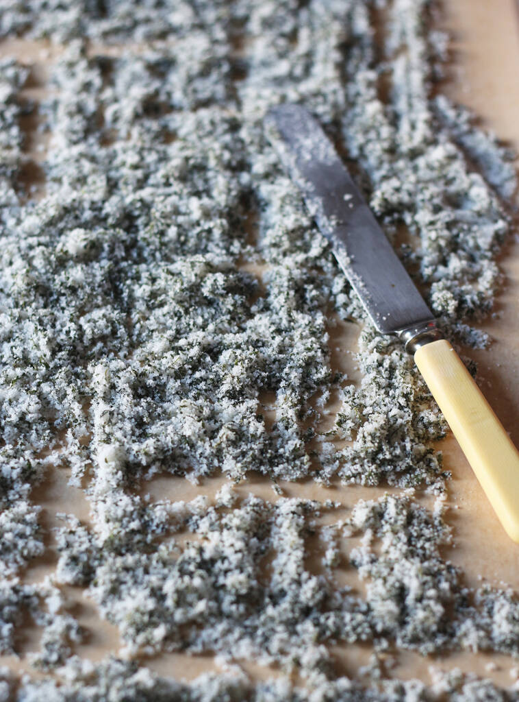 Mugwort is a plant eaten by invasivores - it is an edible herb but is ...