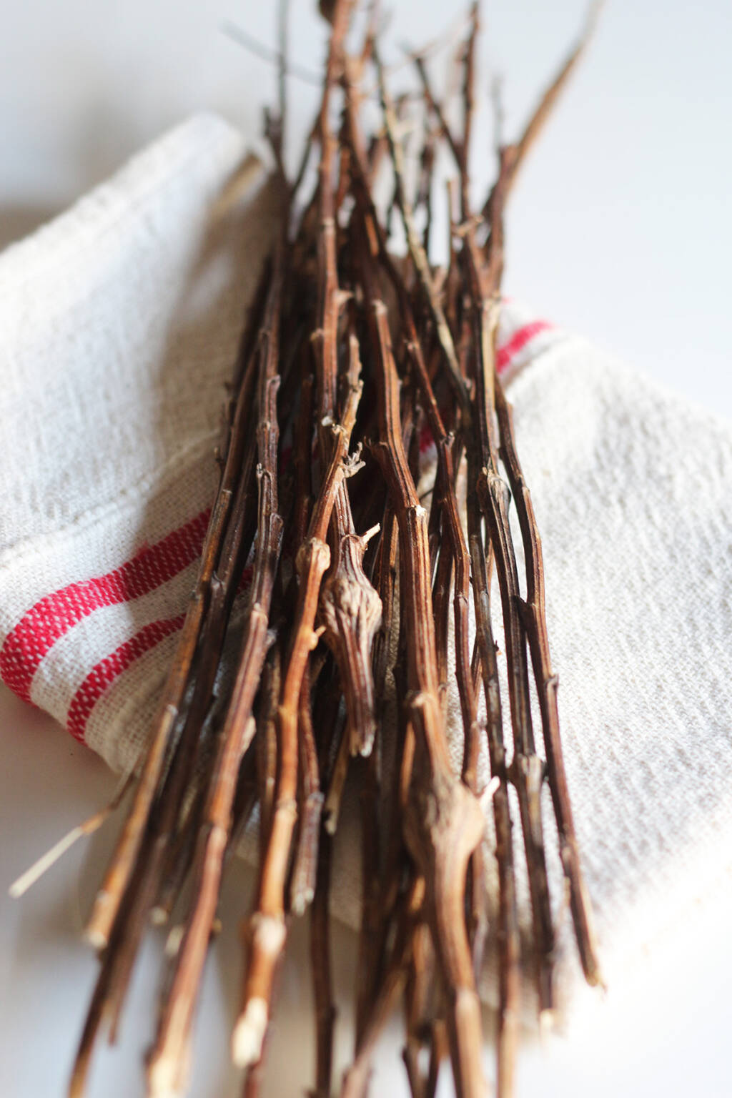 Mugwort is a plant eaten by invasivores - it is an edible herb but is ...