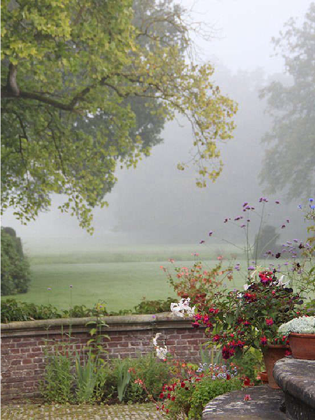 10 Garden Ideas to Steal from the Dutch Masters - Gardenista Web Story ...