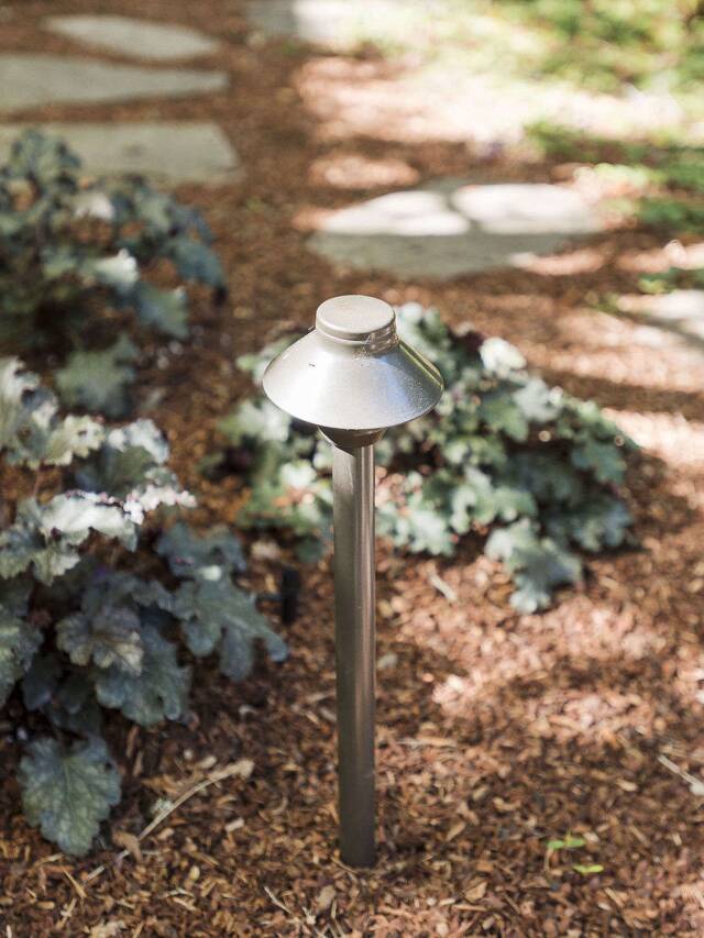 Announcing Our New Guide to Ground Covers - Gardenista Web Story ...