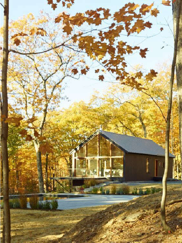 Architect Visit: Into the Woods with Drew Lang in the Hudson Valley - Gardenista Web Story ...