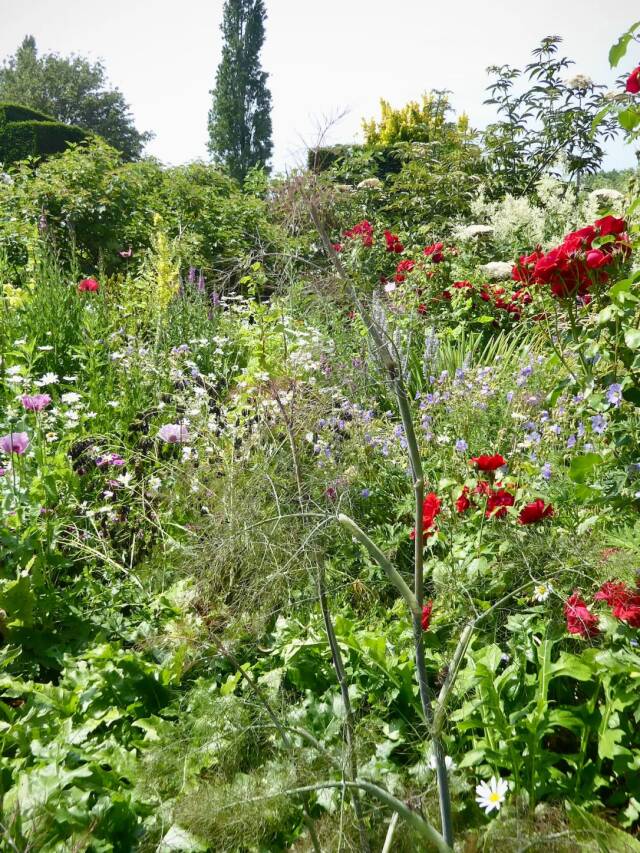 Great Dixter: Fergus Garrett Creates Art in the Garden Web Story ...