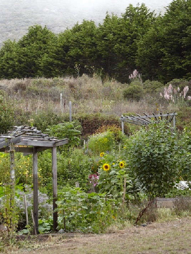 Landscaping 101: Biodynamics for the Edible Garden - Gardenista Web ...