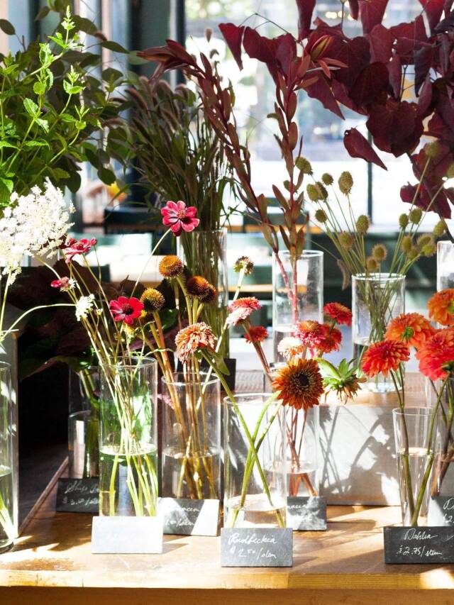 The Flower Shop at Seattle's London Plane - Gardenista Web Story ...