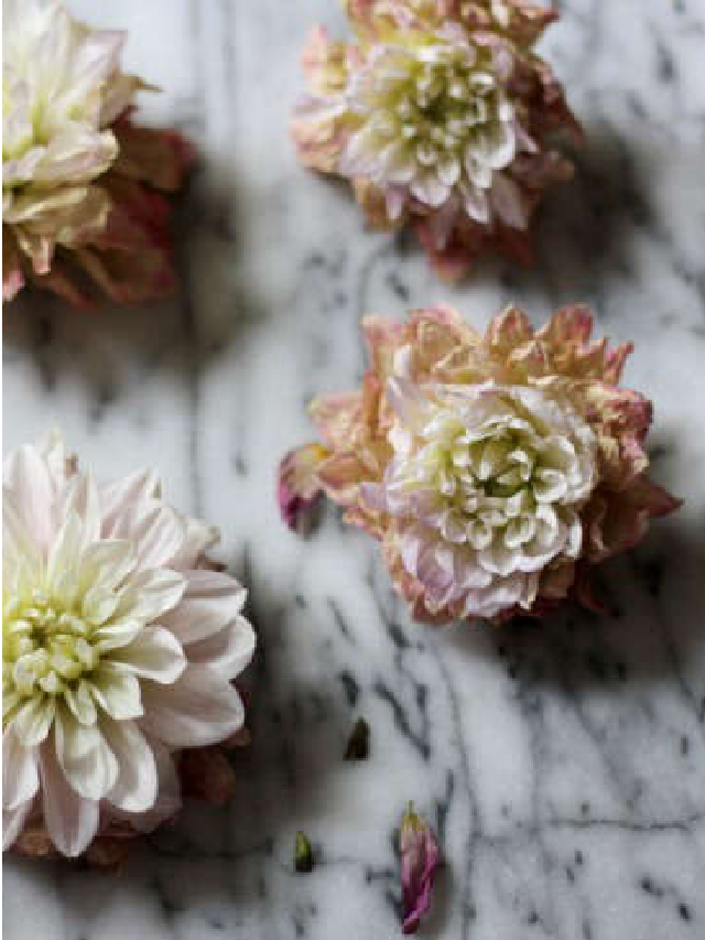 Tried and Tested: How to Make Fresh Flowers Last Longer - Gardenista ...