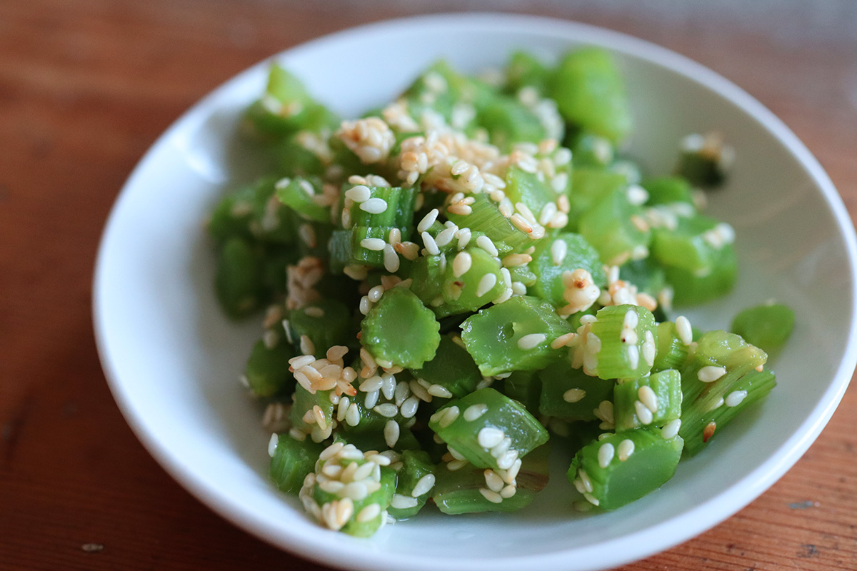 American Burnweed: How to Use the Edible North American Herb