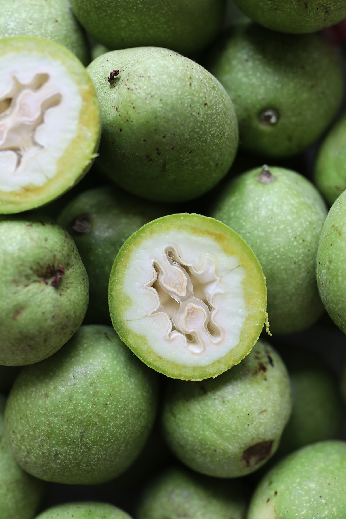 Green Walnuts: A Sweet Recipe for Foraged Young Walnuts