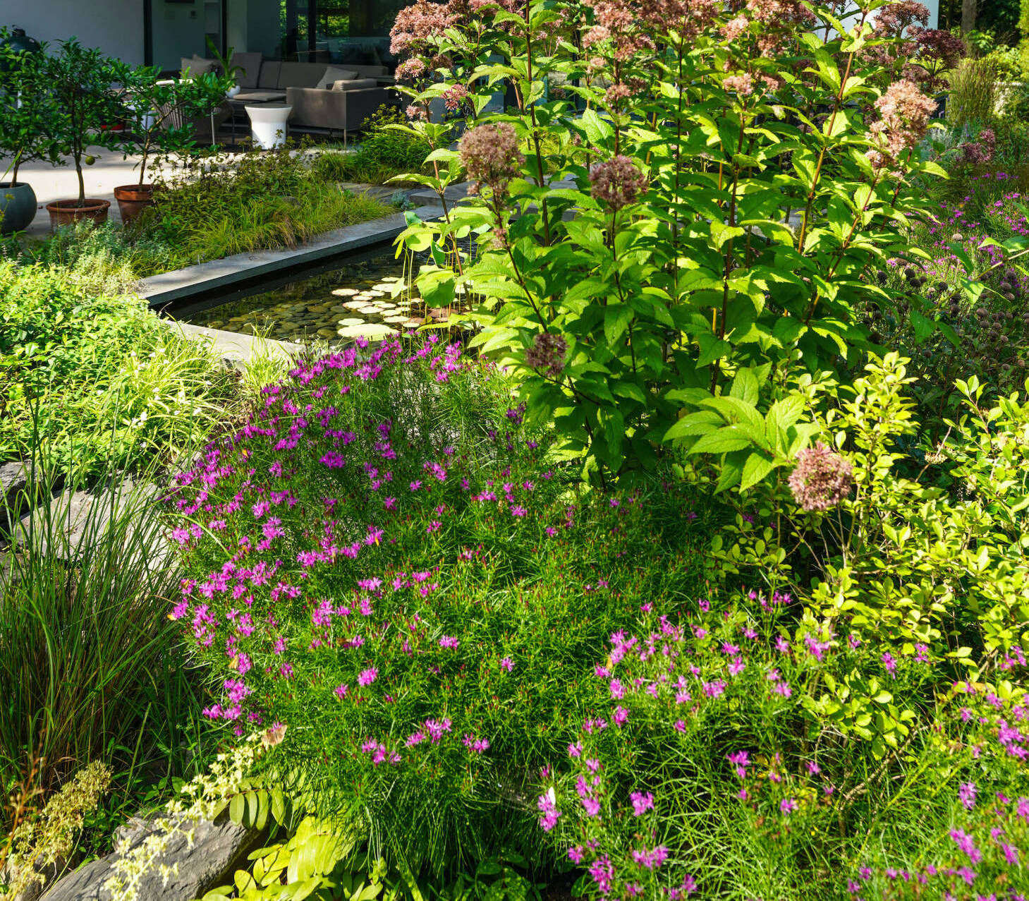 Pennsylvania Landscape Plants About Us Edge Of The Woods Native