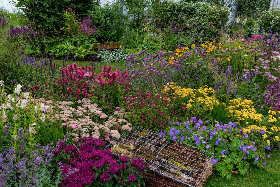 Night Pollinators: How to Design a Garden that Helps Moths
