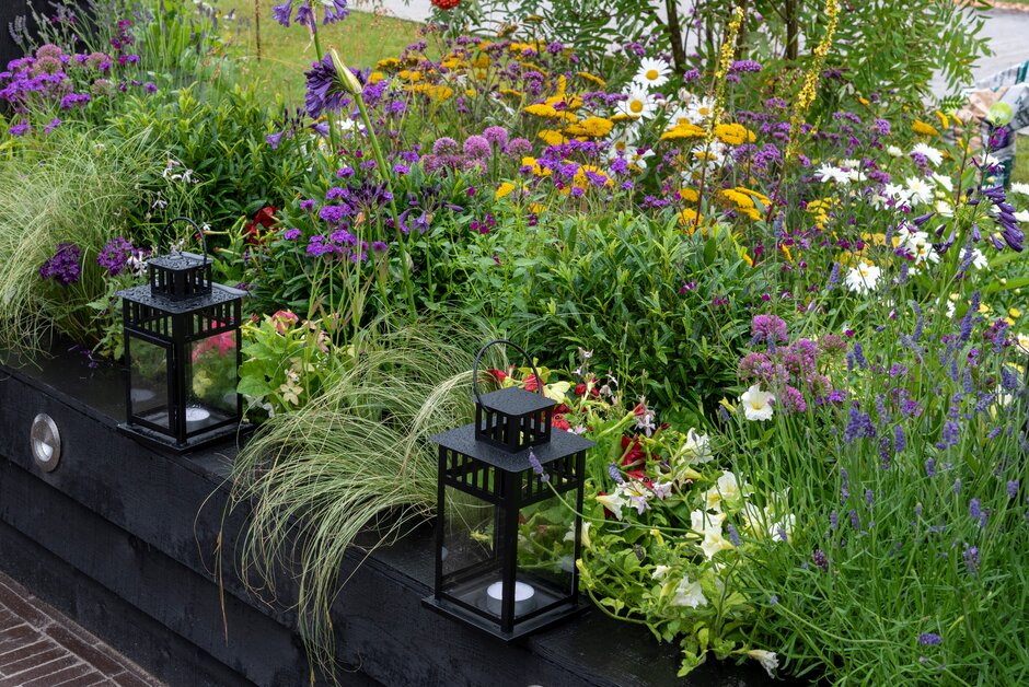 Night Pollinators: How to Design a Garden that Helps Moths