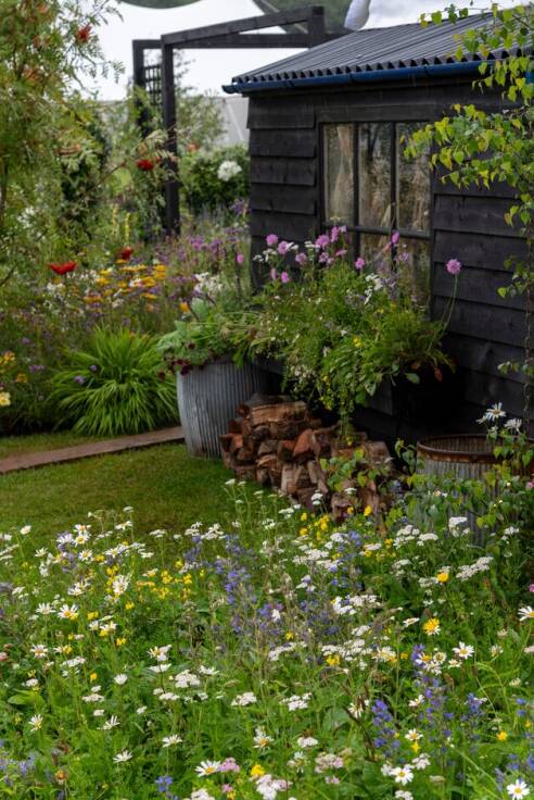 Night Pollinators: How to Design a Garden that Helps Moths