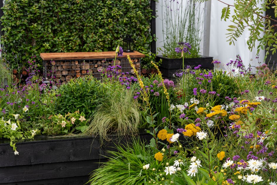 Night Pollinators: How to Design a Garden that Helps Moths