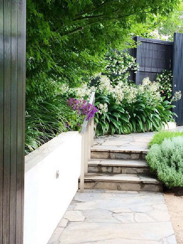 10 Easy Pieces: Instant Privacy Screens - Gardenista Web Story - Gardenista