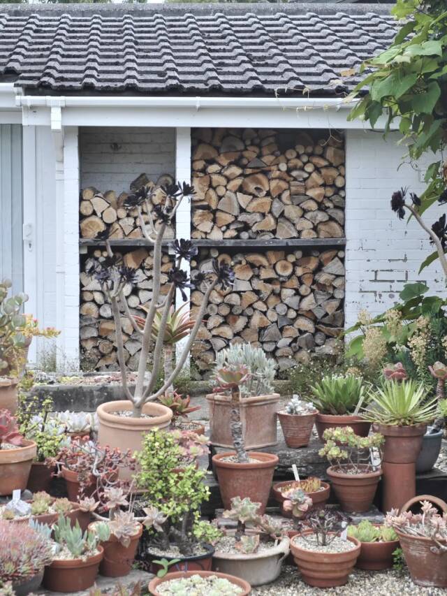 Beth Chatto's Scree Garden: A Visit to the Garden Next to Her Home Web ...