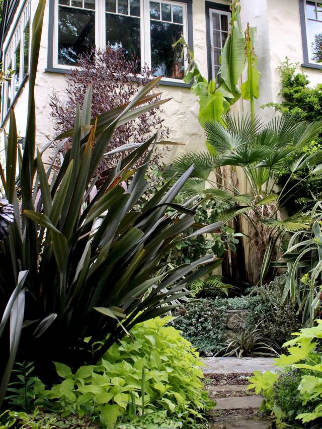 The New Canadian Garden: Tropical Plants in British Columbia ...