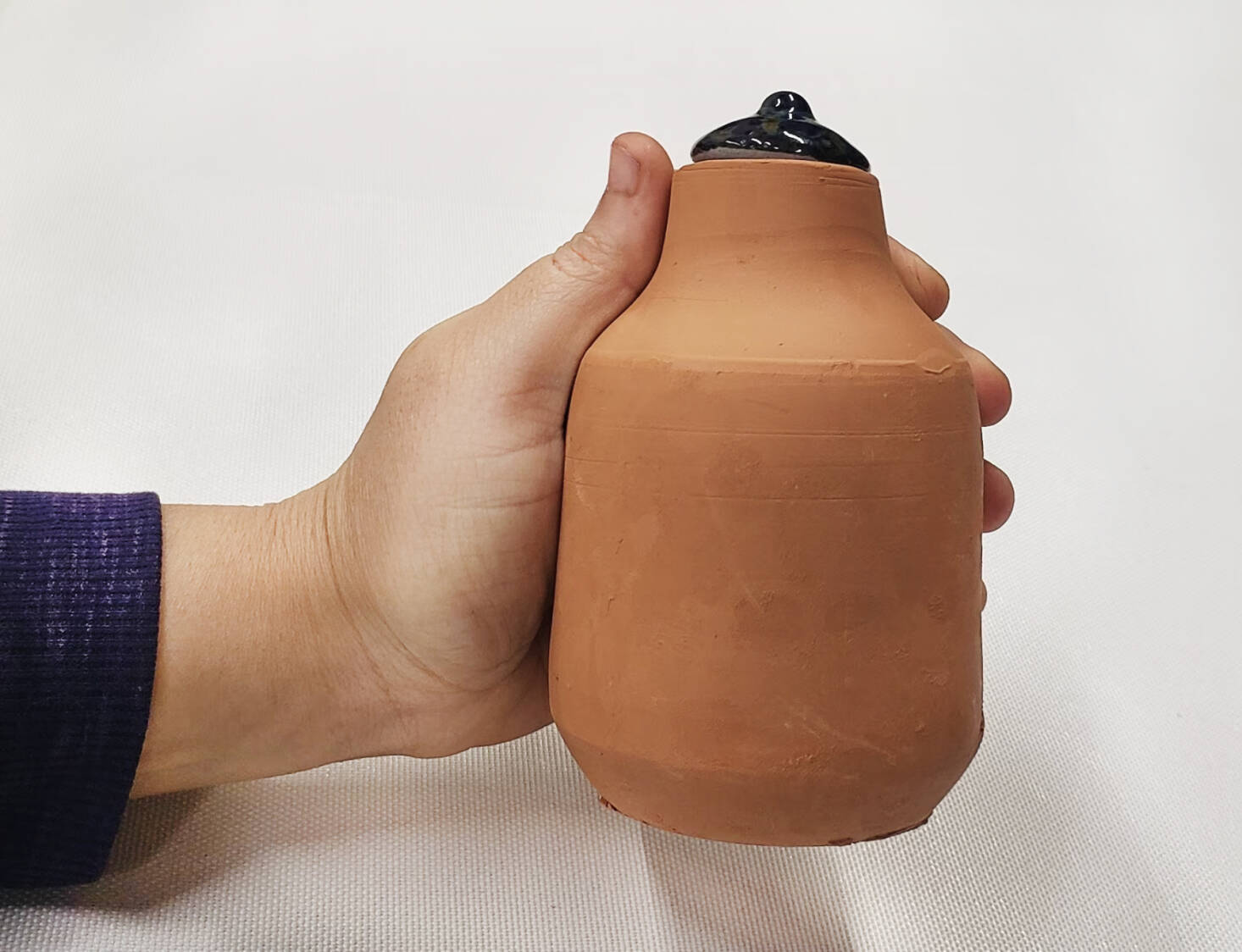 Olla Watering Vessels: What Are They? And the Best Ones to Buy