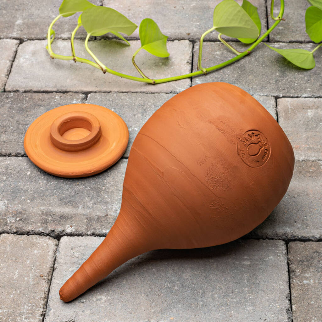 Olla Watering Vessels: What Are They? And the Best Ones to Buy