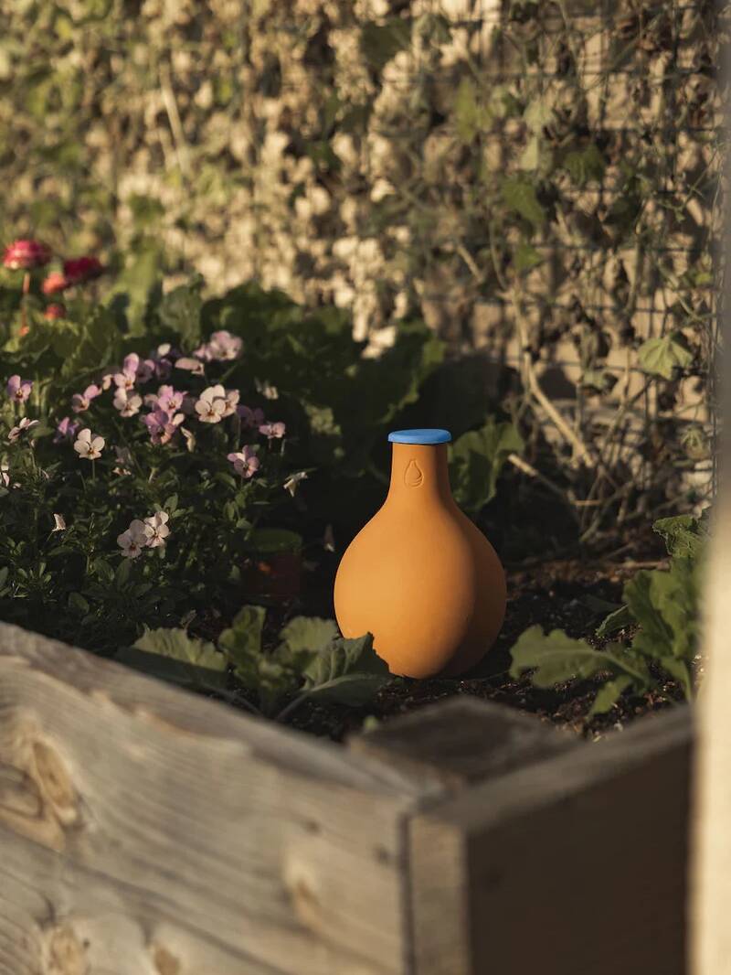 Olla Watering Vessels: What Are They? And the Best Ones to Buy