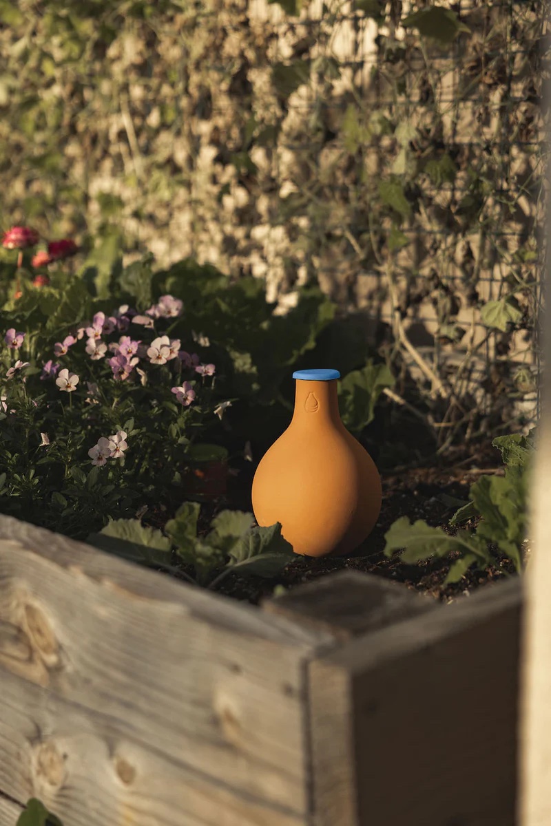 Olla Watering Vessels: What Are They? And the Best Ones to Buy