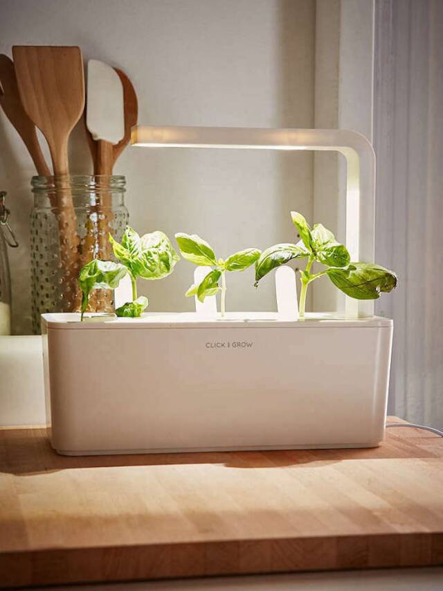 Click and Grow: A Miniature Herb Garden for a Kitchen Countertop ...