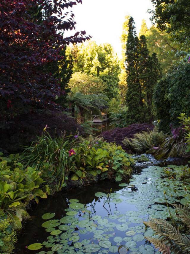 Garden Visit: Beverley McConnell's 12 Acres of Eden - Gardenista Web ...