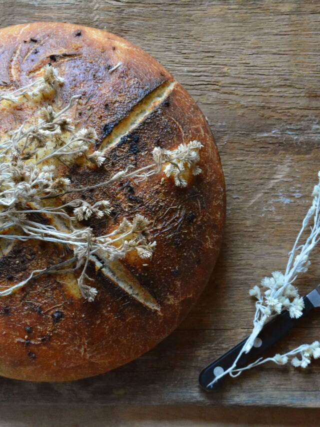Gardenista Giveaway: The New Wildcrafted Cuisine by Pascal Baudar ...