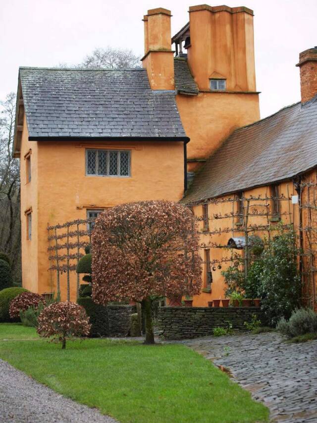 Landscaping 101: Pleached Trees - Gardenista Web Story - Gardenista