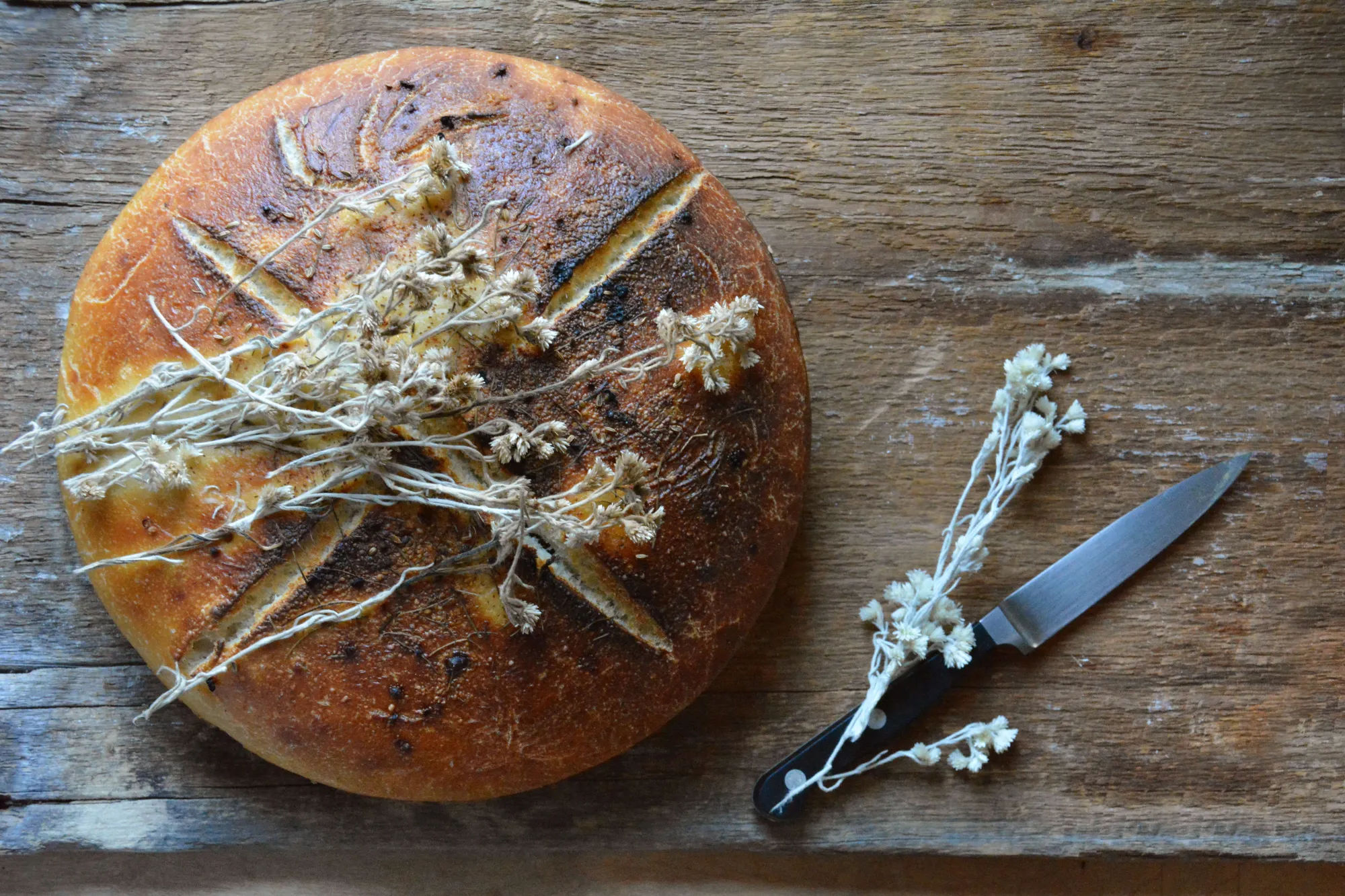 Gardenista Giveaway: The New Wildcrafted Cuisine by Pascal Baudar - Gardenista Web Story ...