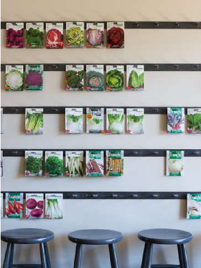 10 Easy Pieces: Heirloom Seeds for Spring - Gardenista Web Story ...