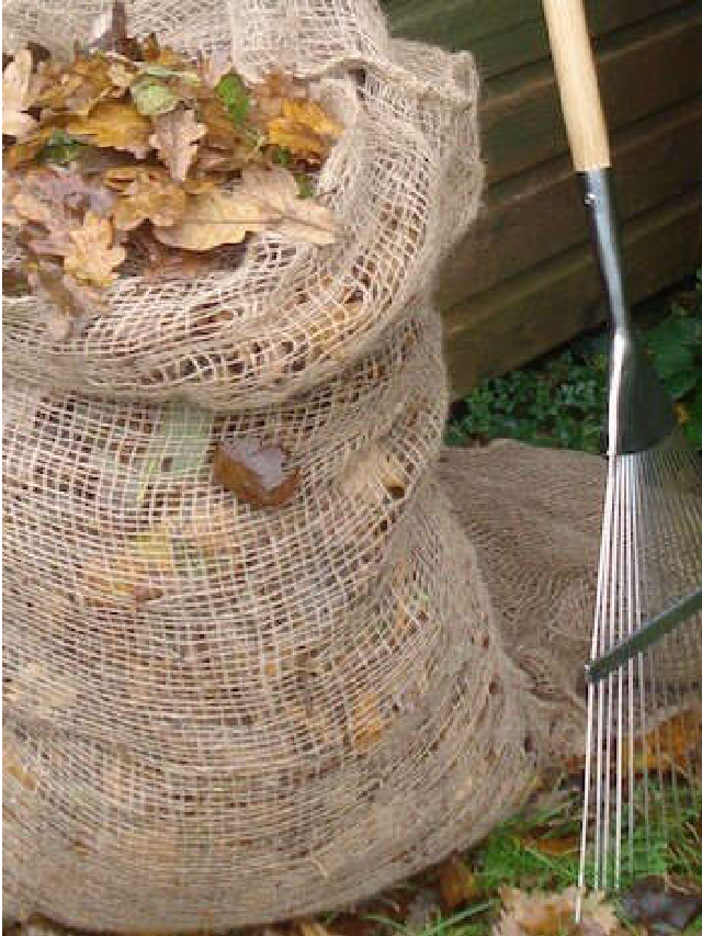 10 Easy Pieces: Leaf and Garden Rakes - Gardenista Web Story - Gardenista