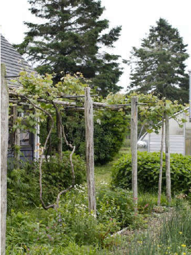 Boston's Best-Kept Secret: Eva's Organic Garden - Gardenista Web Story ...