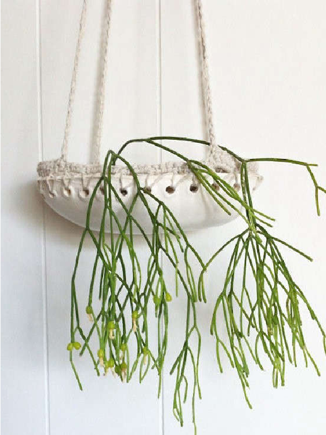 Etsy Find: Hanging Cloud Planter from Australia - Gardenista Web Story ...