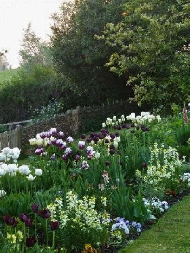Expert Advice from Old House Gardens: 10 Ideas for Planning a Spring ...