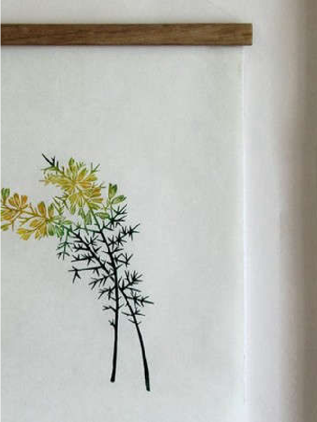 Favorite Botanical Illustrations: Our 10 Best Sources for Vintage and ...