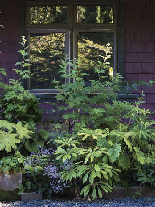 Garden Design: Dan Hinkley at Home on Puget Sound - Gardenista Web ...
