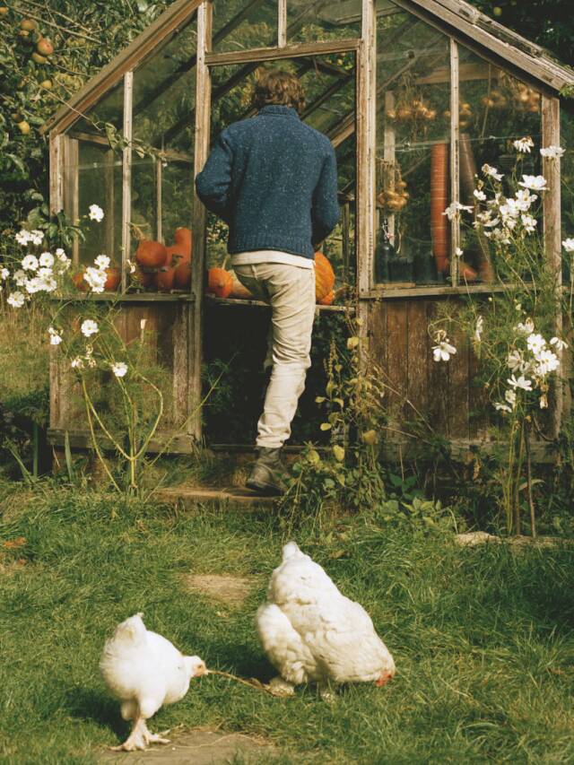 Julius Roberts' New Cookbook 'The Farm Table': Review Web Story ...